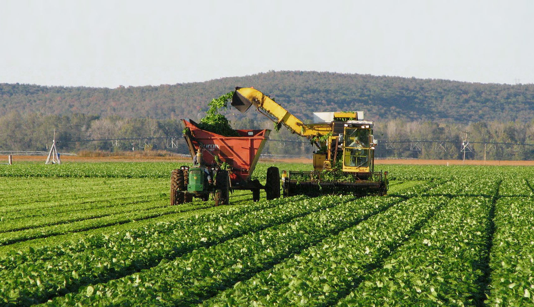 Agroindustrial - Qualieng Engenharia